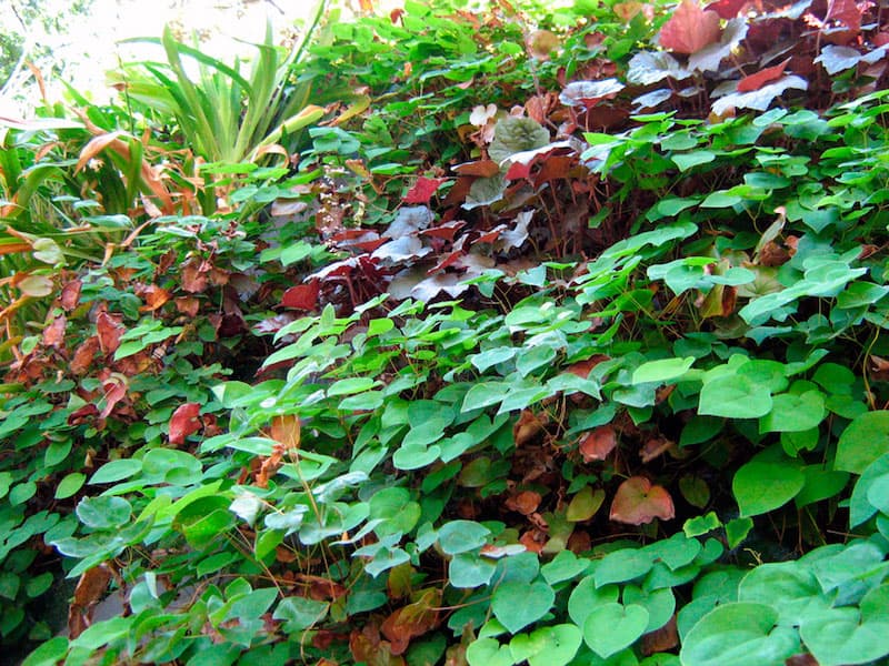 Triennale Museum Milan | Verde Profilo