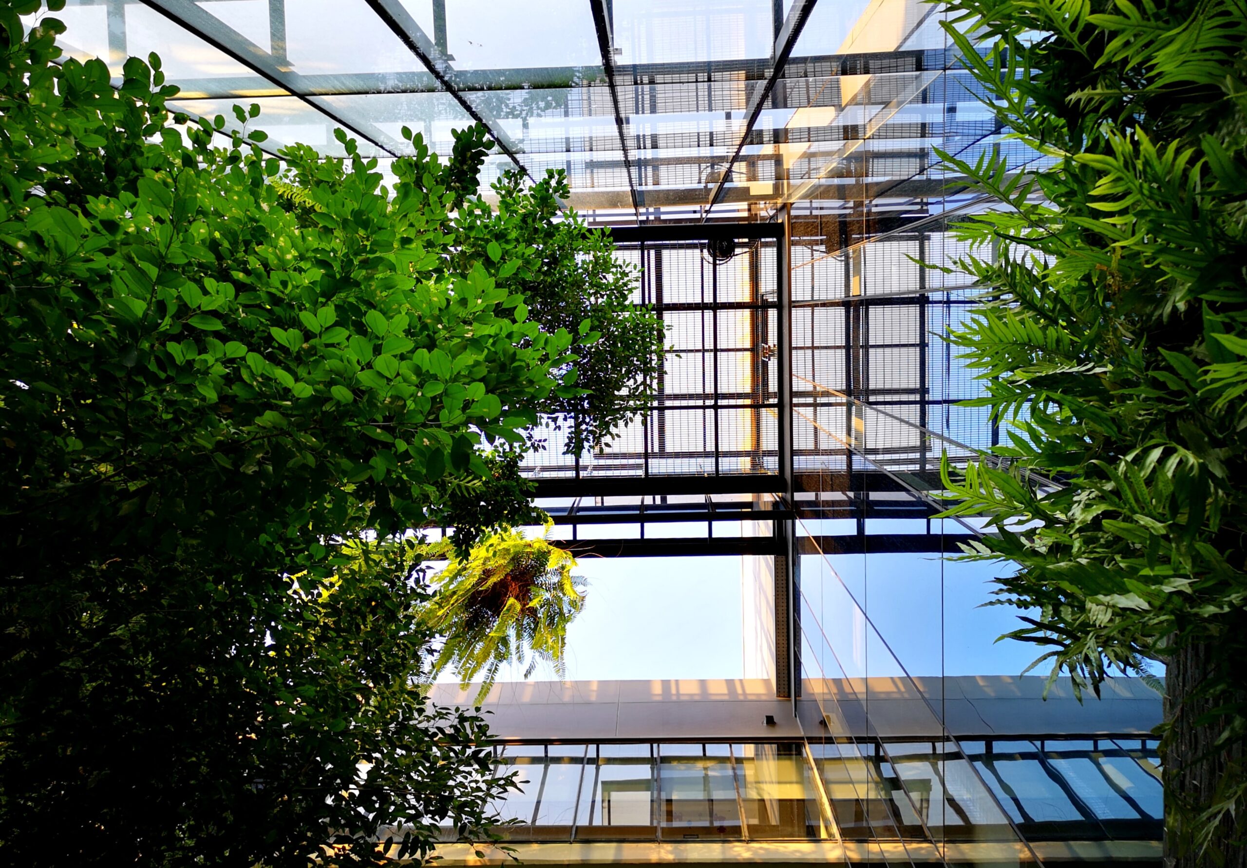 Biophilic design vs other architectural design disciplines | Verde Profilo